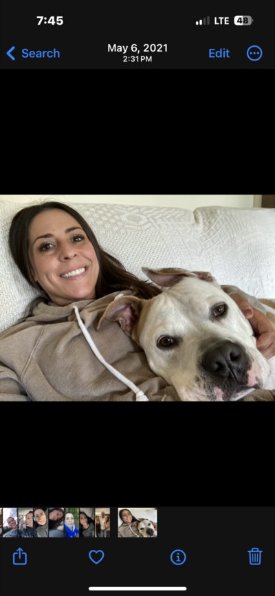 Bronx - Final Gift Pet Memorial Center | Pet Cremation | Connecticut ...