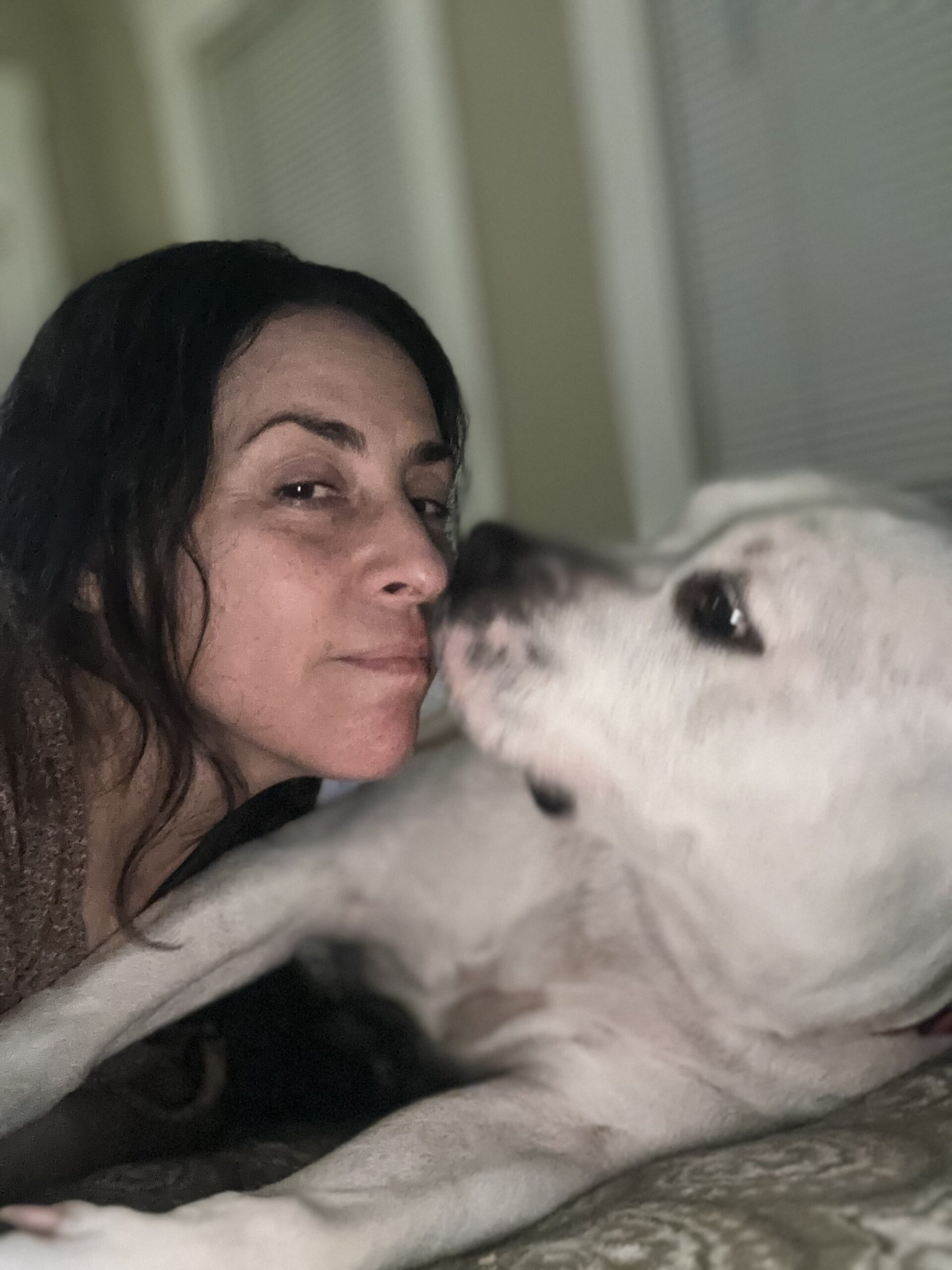 Bronx - Final Gift Pet Memorial Center | Pet Cremation | Connecticut ...